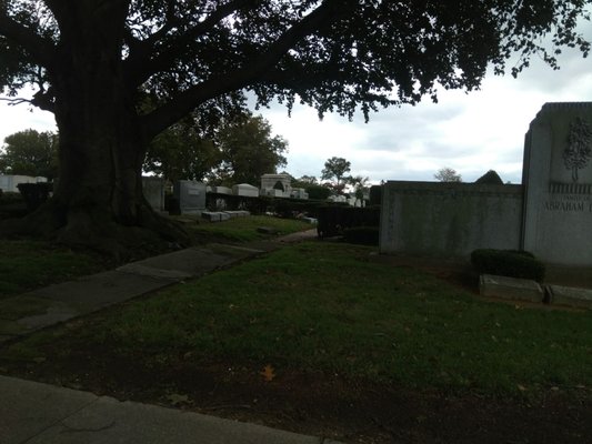 BETH DAVID CEMETERY - Updated October 2025 - 19 Photos & 35 Reviews ...