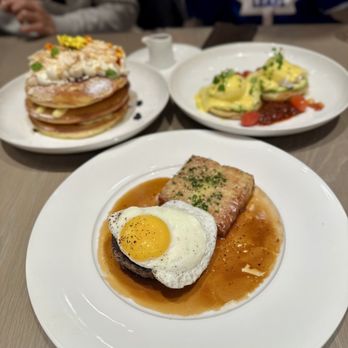 DAPHNE - Updated September 2025 - 193 Photos & 48 Reviews - 67 Richmond ...