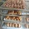 EL NOPAL BAKERY - Updated December 2025 - 43 Photos & 74 Reviews - 216 ...