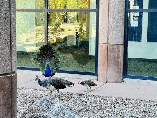 GLENDALE PUBLIC LIBRARY - Updated October 2025 - 89 Photos & 21 Reviews ...