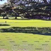 NATIONAL MEMORIAL CEMETERY OF THE PACIFIC - 1226 Photos & 165 Reviews ...