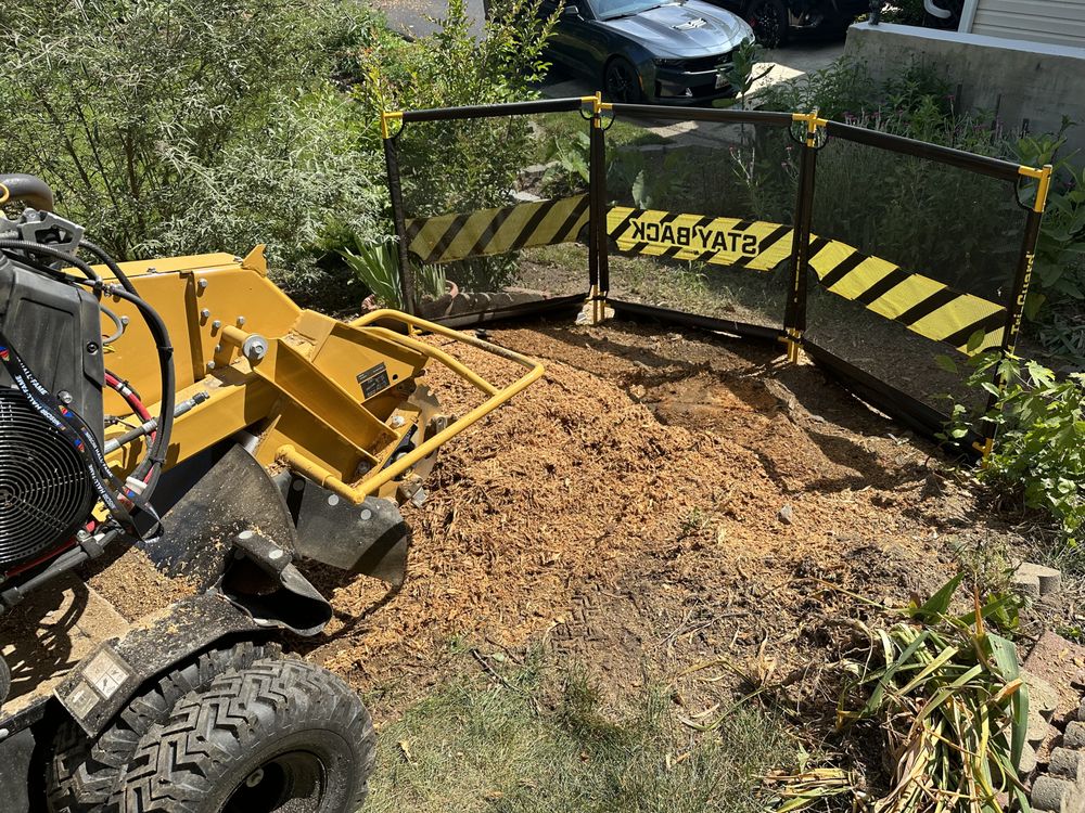 KB STUMP - Updated April 2025 - 17 Photos - 3811 Carson Ct, Huntingtown ...