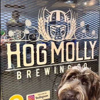 HOG MOLLY BREWING - Updated December 2025 - 93 Photos & 29 Reviews ...