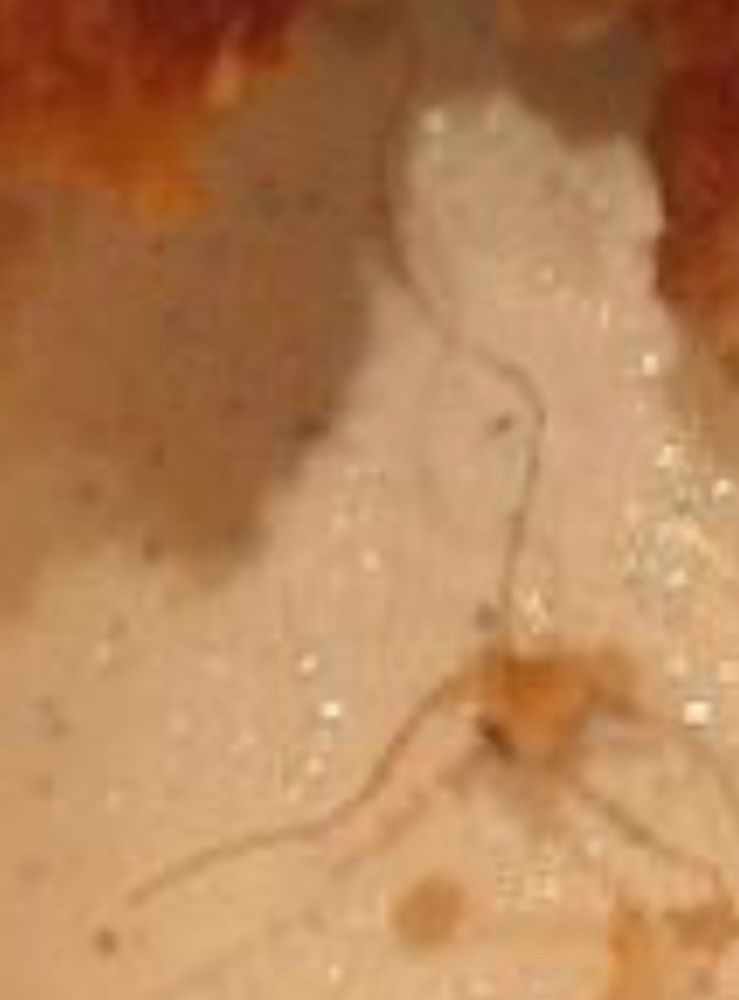 LANDMARK FAMILY RESTAURANT - Updated December 2025 - 30 Photos & 73 ...