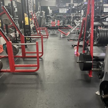 KISSIMMEE MUSCLE - Updated October 2025 - 103 Photos & 47 Reviews ...