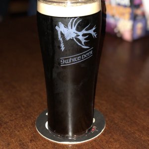 PANTI BAR - 59 Photos & 46 Reviews - 7-8 Capel Street, Dublin, Republic ...