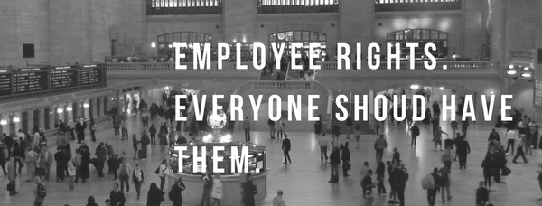 GREGG SHAVITZ - SHAVITZ LAW GROUP - Updated December 2025 - 21 Reviews ...