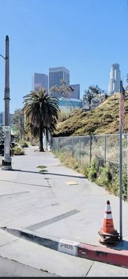 MIGUEL CONTRERAS LEARNING COMPLEX - Updated August 2025 - 22 Photos ...