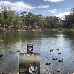 SCRIPPS MIRAMAR RANCH LIBRARY - 105 Photos & 54 Reviews - 10301 Scripps ...