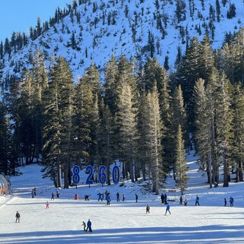 MT ROSE SKI TAHOE - Updated October 2025 - 1125 Photos & 447 Reviews ...