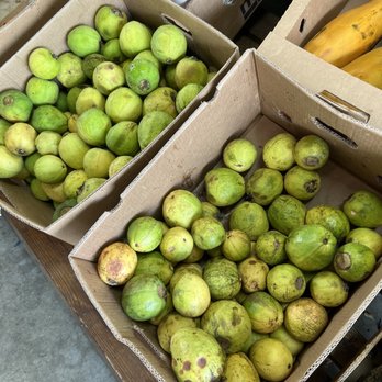 LOS PINARENOS FRUTERIA - Updated October 2025 - 247 Photos & 102 ...