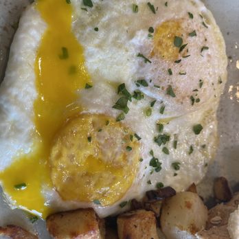 FIRST WATCH - Updated August 2024 - 319 Photos & 216 Reviews - 20505 N ...