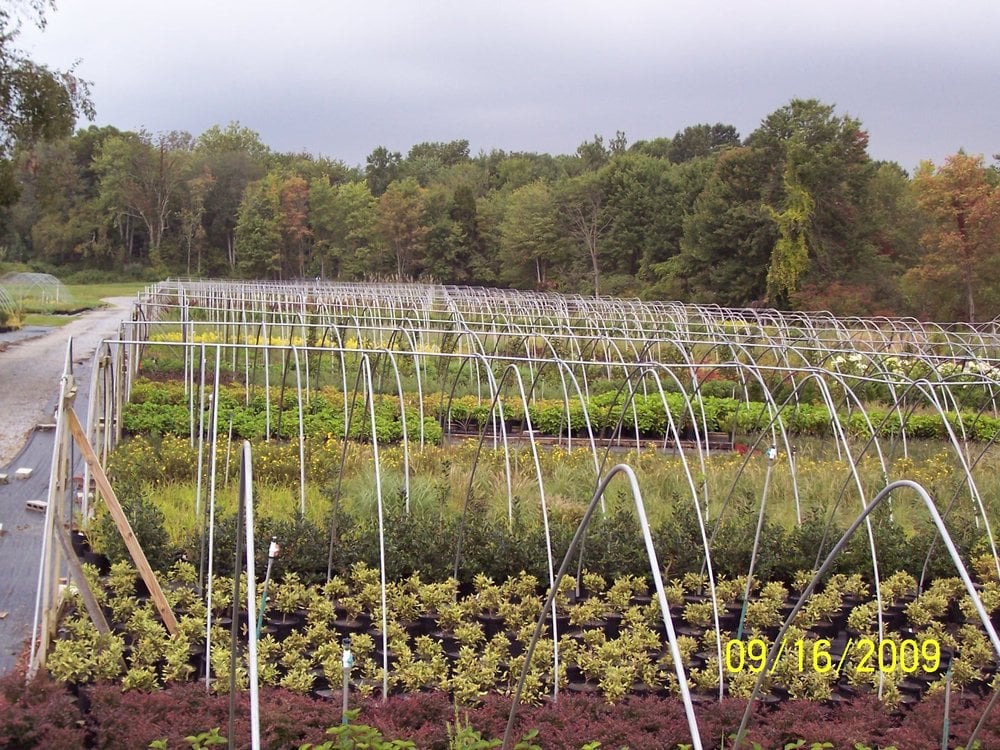 SPRING RUN FARM - Updated September 2025 - 628 Telegraph Rd ...