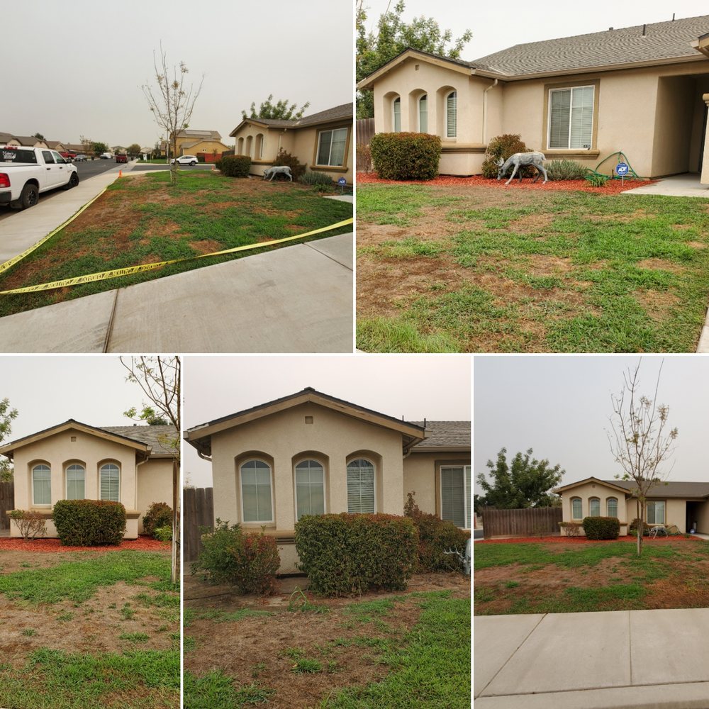MELENA’S COMPLETE LANDSCAPE - Updated January 2026 - 56 Photos ...