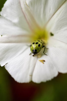 CRYSTAL BAY FARM - 139 Photos & 62 Reviews - 40 Zils Rd, Watsonville ...