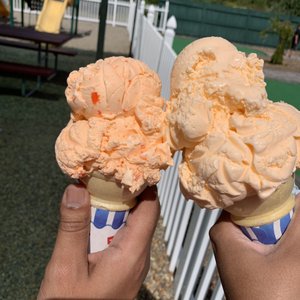 BOGEY’S ICE CREAM - 49 Photos & 31 Reviews - 205 East Thompson Rd ...