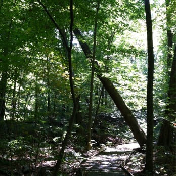 FOWLER WOODS STATE NATURE PRESERVE - Updated May 2025 - 12 Photos ...