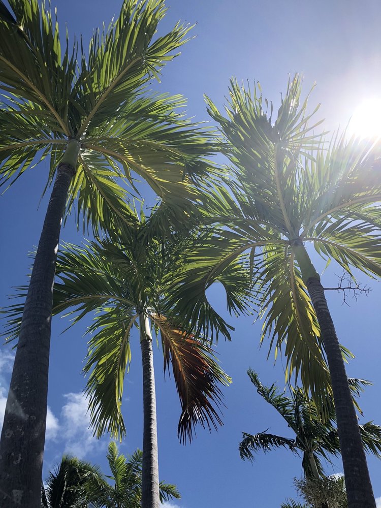 SKIPJACK RESORT & MARINA - 172 Photos & 73 Reviews - 19 Sombrero Blvd ...