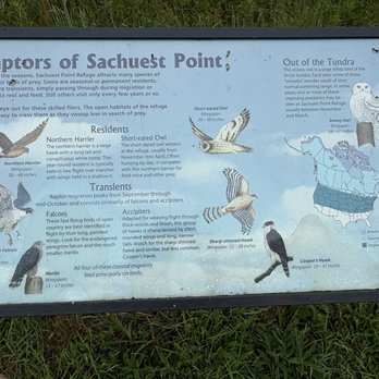 SACHUEST POINT NATIONAL WILDLIFE REFUGE - Updated December 2025 - 242 ...