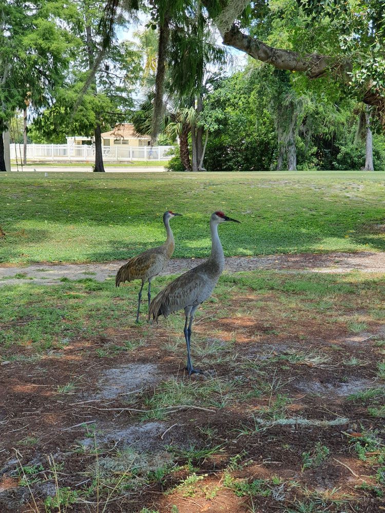 COLONY WEST - 28 Photos & 28 Reviews - 6850 NW 88th Ave, Tamarac ...