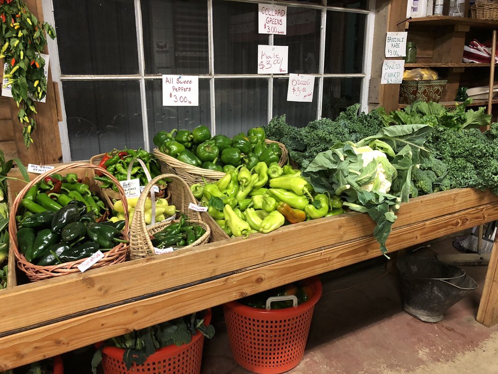 SILVERTON FARM - Updated October 2024 - 18 Photos & 11 Reviews - 1520 ...