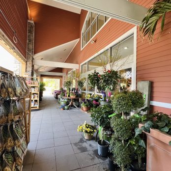 BRIGGS NURSERY - Updated December 2025 - 143 Photos & 76 Reviews - 295 ...