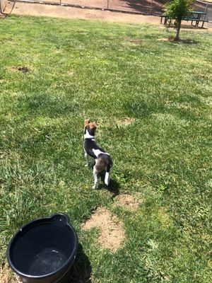 HIGHLANDS RANCH PARK - Updated July 2024 - 25 Photos & 19 Reviews ...