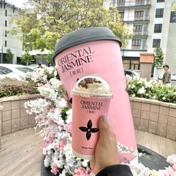 MOLLY TEA - Updated September 2025 - 1461 Photos & 1093 Reviews - 425 W ...