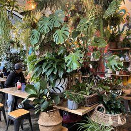 YUKO KITCHEN DTLA - Updated December 2025 - 1328 Photos & 633 Reviews ...