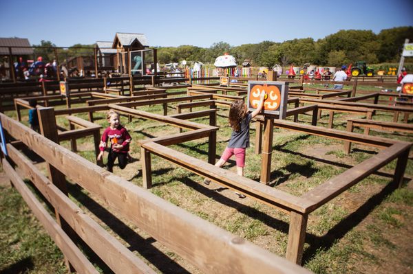 ROCA BERRY FARM - Updated October 2025 - 47 Photos & 17 Reviews - 16405 ...