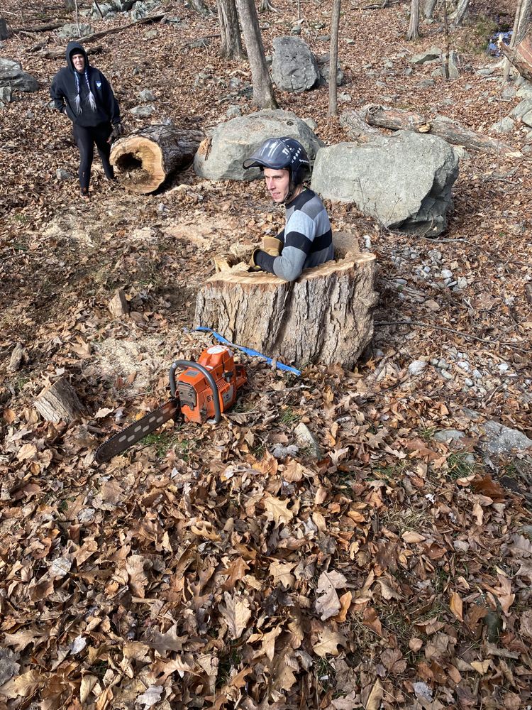 TLC TREE SERVICE - Updated December 2025 - 74 Photos - 145 Pocono ...