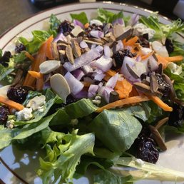 PINE SQUIRREL - 1600 S Otsego Ave, Gaylord, Michigan - 87 Photos & 95 ...