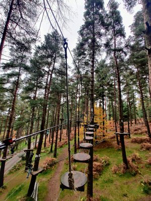ZIPIT FOREST ADVENTURE - Updated January 2025 - Tibradden, Tibradden ...