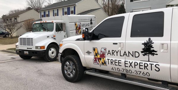 MARYLAND TREE EXPERTS - Updated October 2025 - 98 Photos & 44 Reviews ...