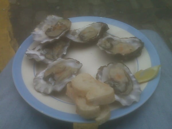 COLCHESTER OYSTERS - Updated June 2024 - Horatio Street, London, United ...
