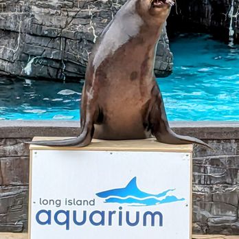 LONG ISLAND AQUARIUM - Updated August 2025 - 1177 Photos & 339 Reviews ...