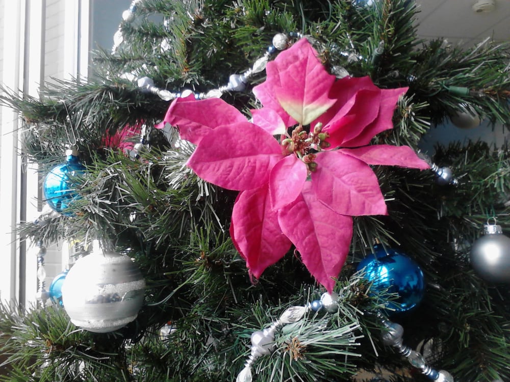 DELTA-T GROUP - Updated December 2025 - 950 Haverford Rd, Haverford ...