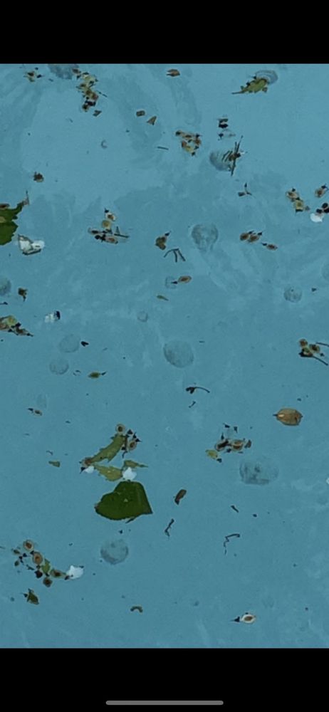 SUMMER FUN POOLS - Updated December 2025 - 11 Reviews - 39473 Mound Rd ...