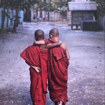 LOTUS CAFE & JUICE BAR - Updated June 2024 - 749 Photos & 948 Reviews ...