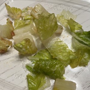 LETTUCE RESTAURANT & CATERING - 626 Photos & 968 Reviews - 1632 Locust ...