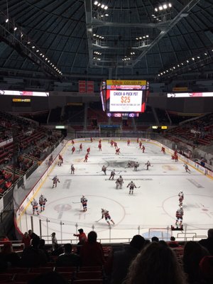 Bojangles’ Coliseum - Check Availability - 36 Photos & 41 Reviews ...