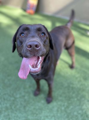 PETS R FAMILY VETERINARY HOSPITAL - Updated December 2024 - 114 Photos ...