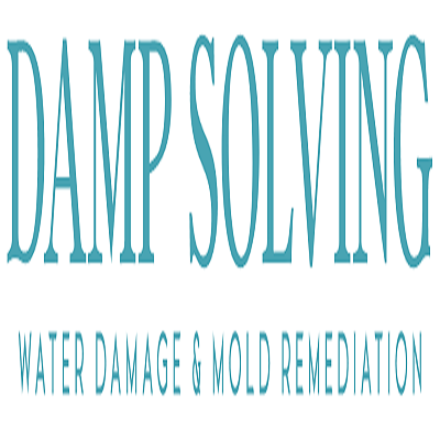 DAMP SOLVING WATER DAMAGE & MOLD REMEDIATION - Updated April 2024 ...