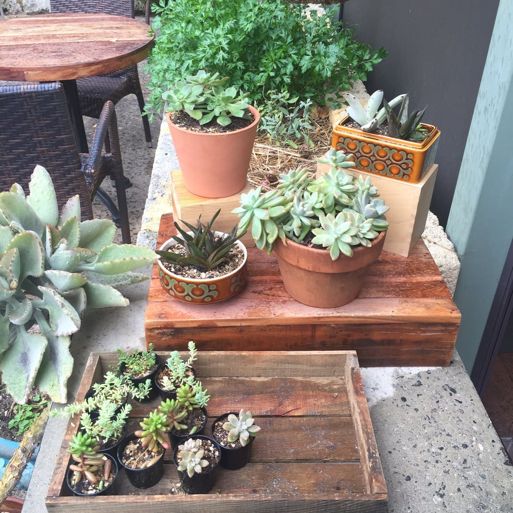 CITY FARM CAFE - Updated May 2026 - 51 Photos & 20 Reviews - 1 City ...