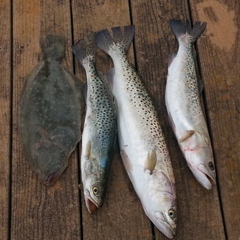 CAPTAIN COREY GROPP - Updated March 2025 - 22 Photos - Longboat Key ...