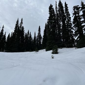 HURRICANE RIDGE - Updated November 2024 - 460 Photos & 102 Reviews ...