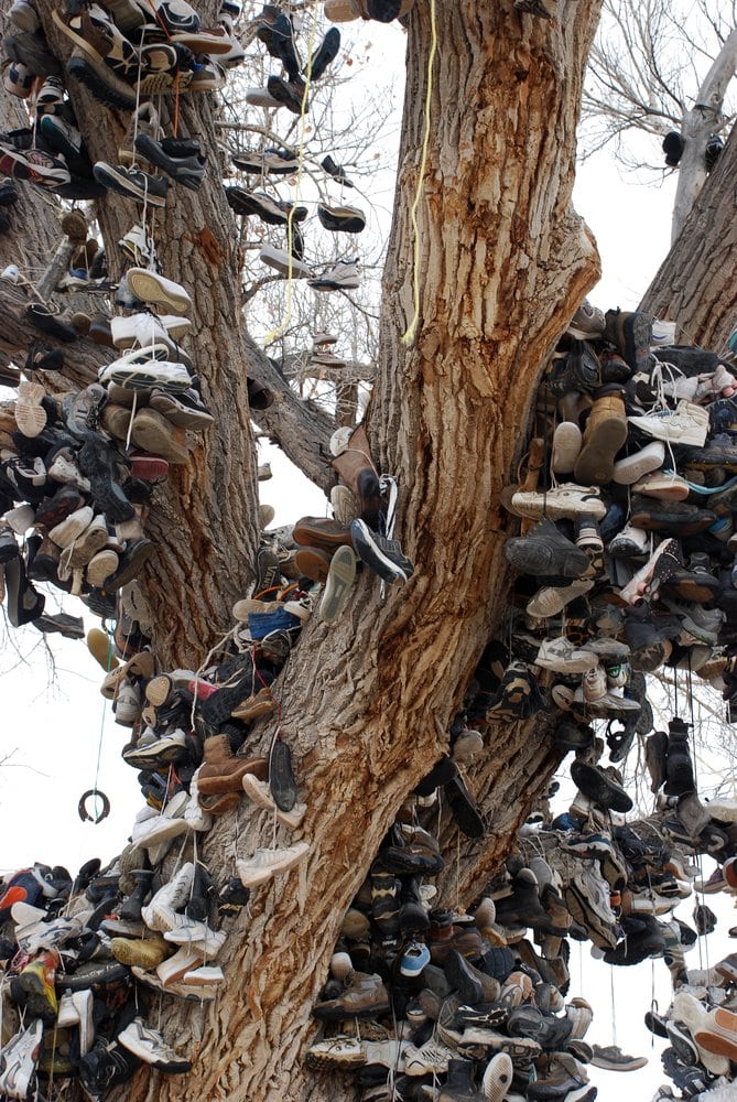 THE MIDDLEGATE SHOE TREE - 41763 Austin Hwy, Fallon, Nevada - Local ...