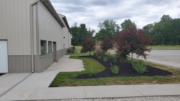 CANES INDIANA PARK - Updated December 2025 - 17 Photos - 6727 IN-67 ...