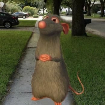 ROBERT MORGAN EDUCATIONAL CENTER - Updated December 2025 - 13 Photos ...