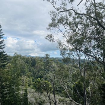 AIEA LOOP TRAIL - Updated December 2025 - 1457 Photos & 320 Reviews ...
